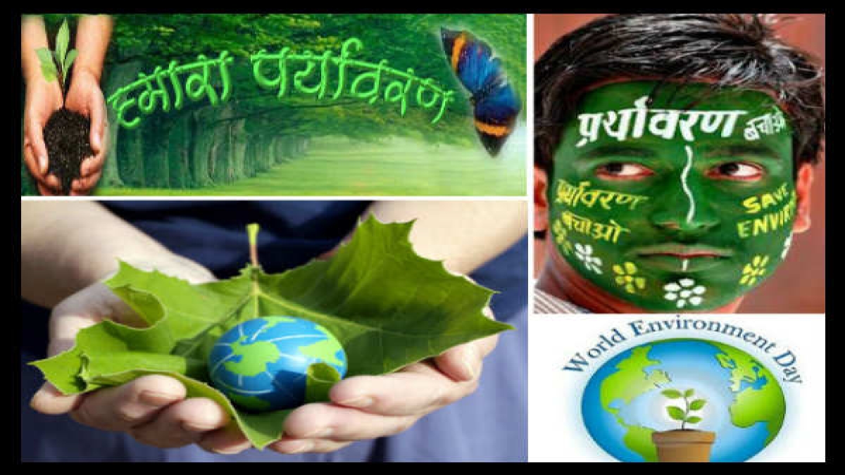 जी जान से प्‍यारे पेड़ पौधे: विश्‍व पर्यावरण दिवस | World Environment ...