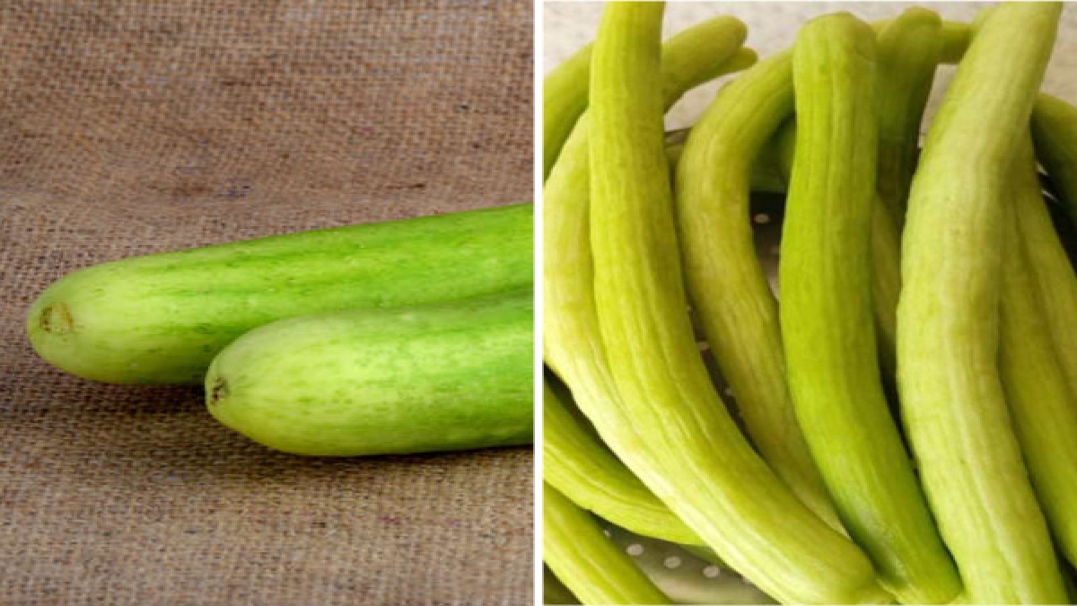 गर्मियों में सलाद के लि‍ए खीरा और ककड़ी दोनों ही है बेस्‍ट, पर जानें ...
