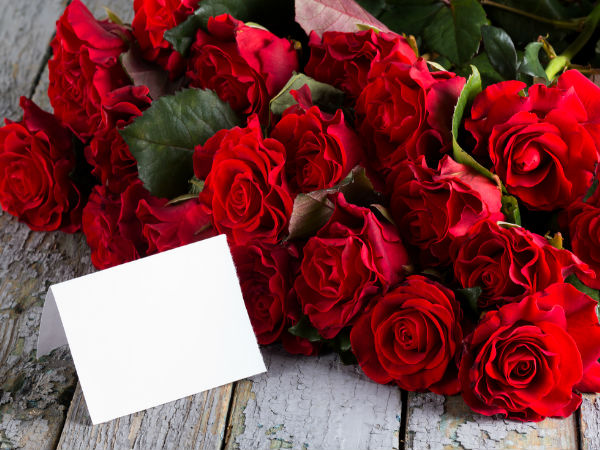 अपने प्‍यार का इज़हार करें रोज डे मना कर | Rose Day Valentines Day ...