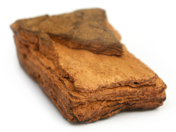 कत्‍थे से दूर करें बीमारियां, जानिये इसके औषधीय प्रयोग | Ayurveda Uses ...