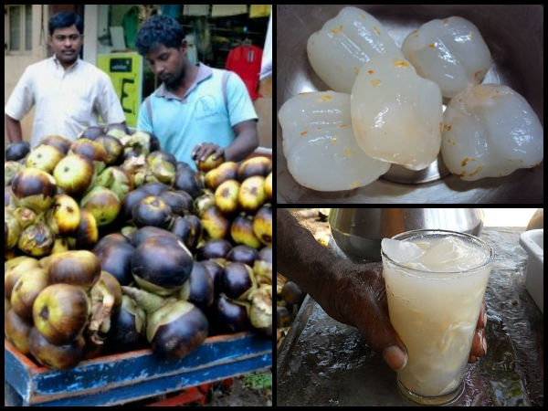 गर्मियों में खाइये ताड़गोले का फल, शरीर को जाएगा एकदम ठंडा | Health ...