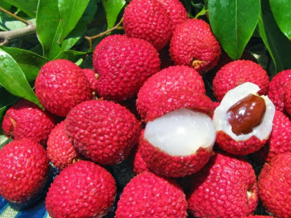 रसीले लीची खाकर गर्मियों में रहे हेल्‍दी | Lychee fruit nutrition facts ...
