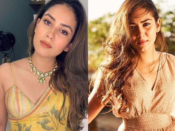 शाहिद कपूर की पत्नी मीरा राजपूत की जवां स्किन के पीछे है ये ब्यूटी ...