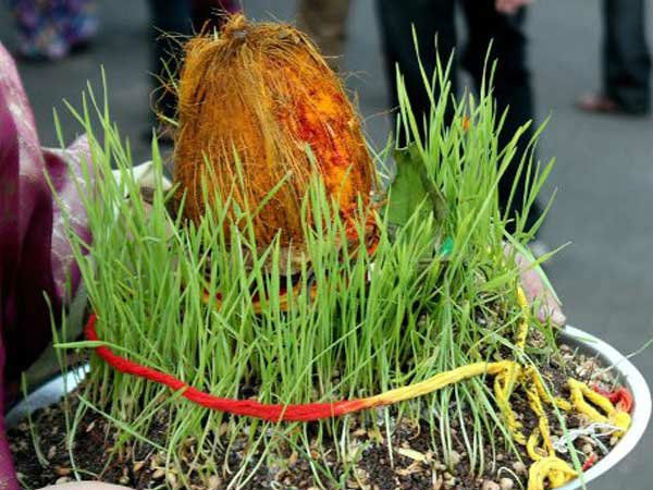 Health Benefits of Barley : नवरात्रि में बोया जाता है जौ, जानें सेहत के ...