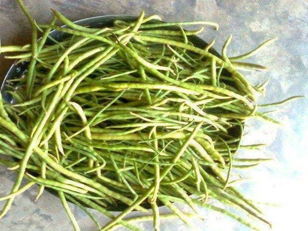 Health Benefits Of Sangri in Hindi : बहुत ही फेमस है राजस्‍थान की ये ...