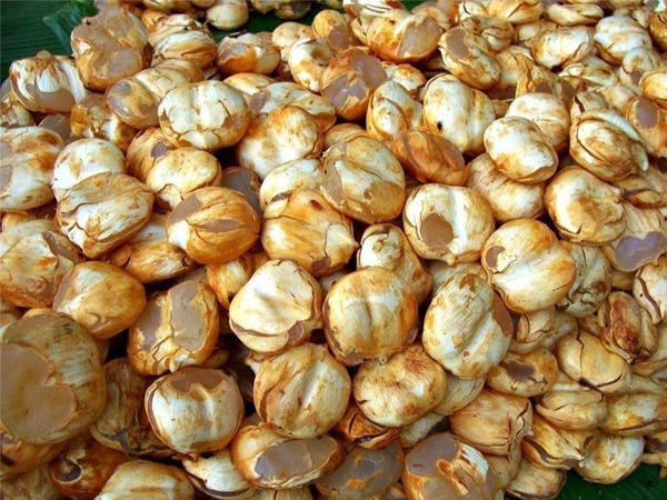 Benefits of Ice Apple: इस फ्रूट को खाने से शरीर को मिलती है बर्फ सी ...