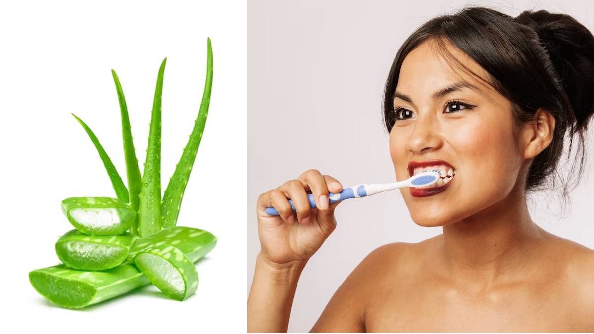 How To Use Aloe Vera For Oral Health at Phyllis Spain blog