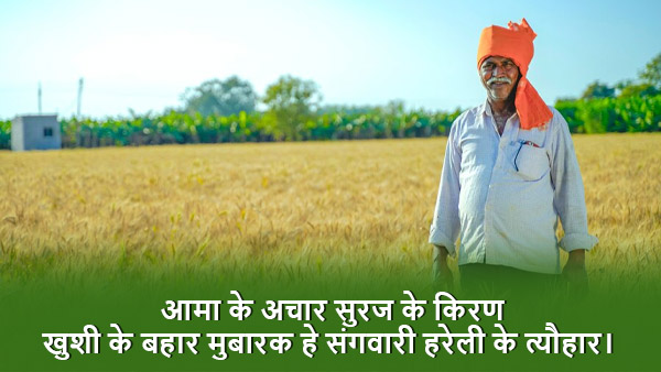 Hareli Tihar Wishes: इस तारीख को है छत्तीसगढ़ का पहला पर्व 'हरेली तिहार ...