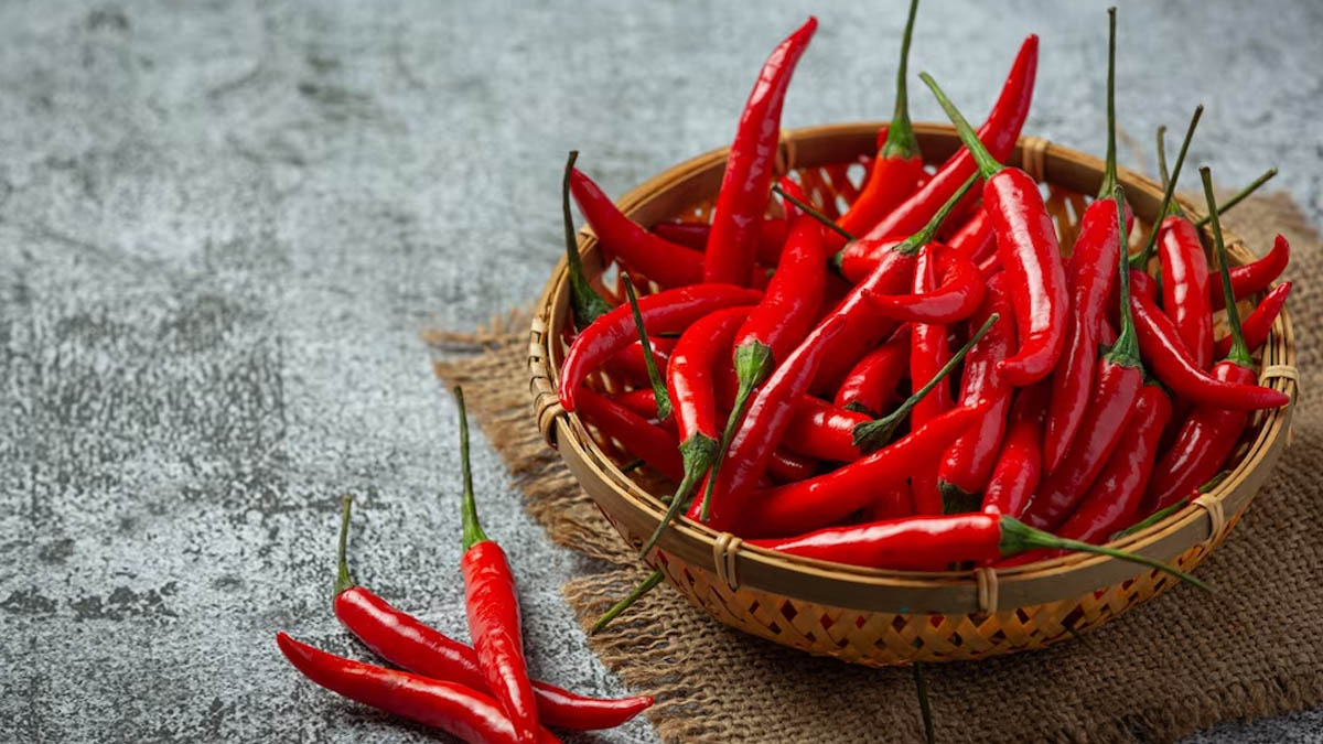 The Origin of Red Chilli: पुर्तगालियों के साथ भारत पहुंची थी लाल मिर्ची , 7 हजार साल से पुराना ...