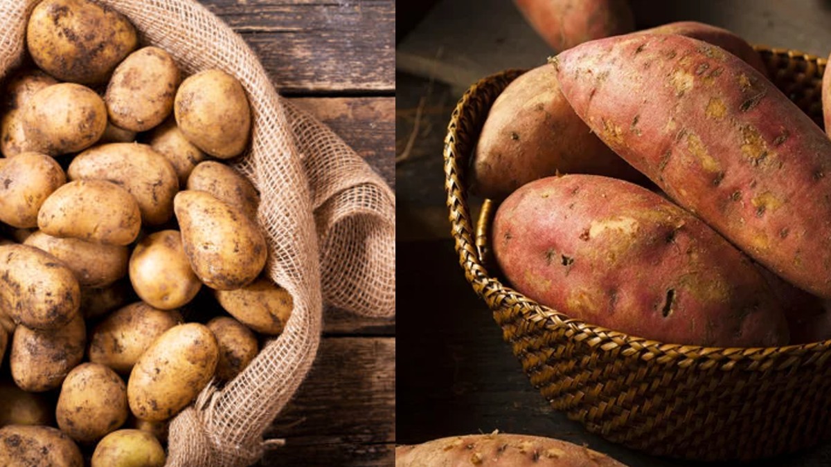 Sweet Potato Vs Potato: आलू और शकरकंद दिखने में एक जैसे, लेक‍िन न् ...
