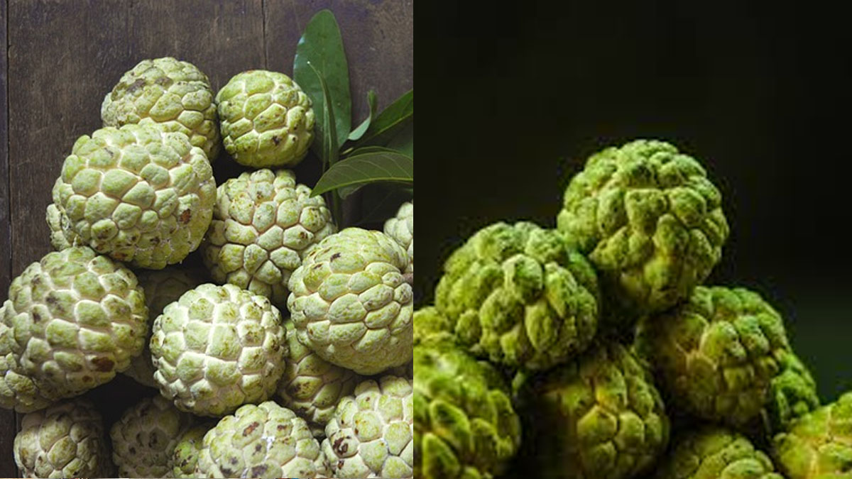 सीताफल खाने का आ गया मौसम, शरीफा खरीदते और स्‍टोर करते हुए इन बातों का ...