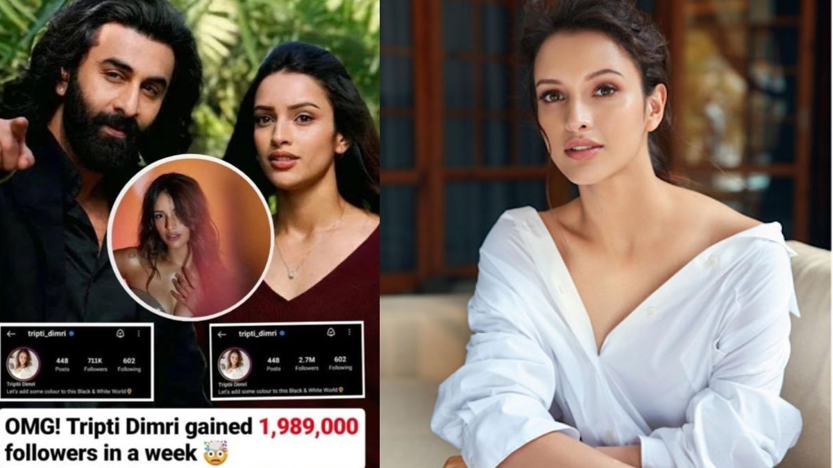 Animal से हुई Tripti Dimri की चांदी इंस्टाग्राम पर आई इतने मिलियन फॉलोअर्स की बाढ़ | Tripti ...