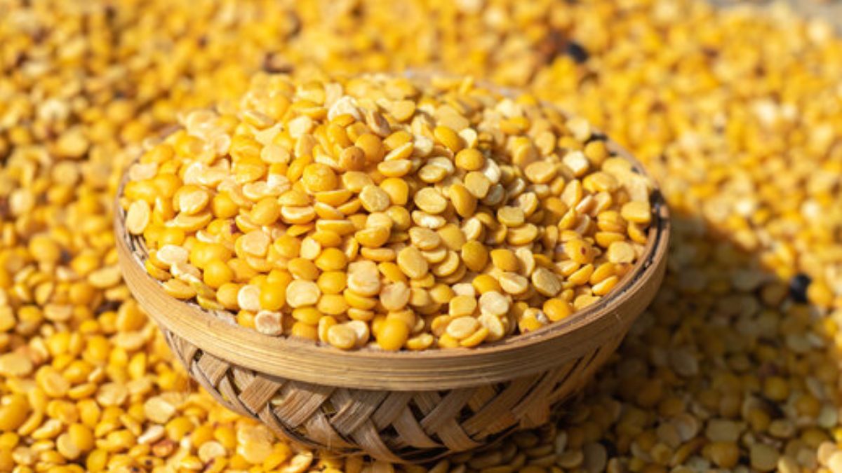 Arhar Dal Side effect: क्‍या आपको खूब पसंद हैं अरहर की दाल? ज्‍यादा ...